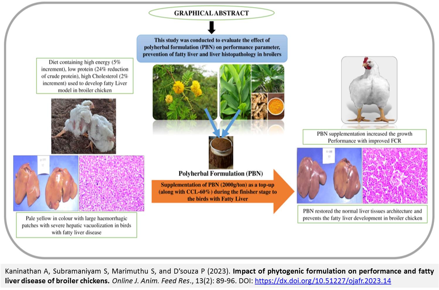 Volume 13 : Issue 2, March 2023