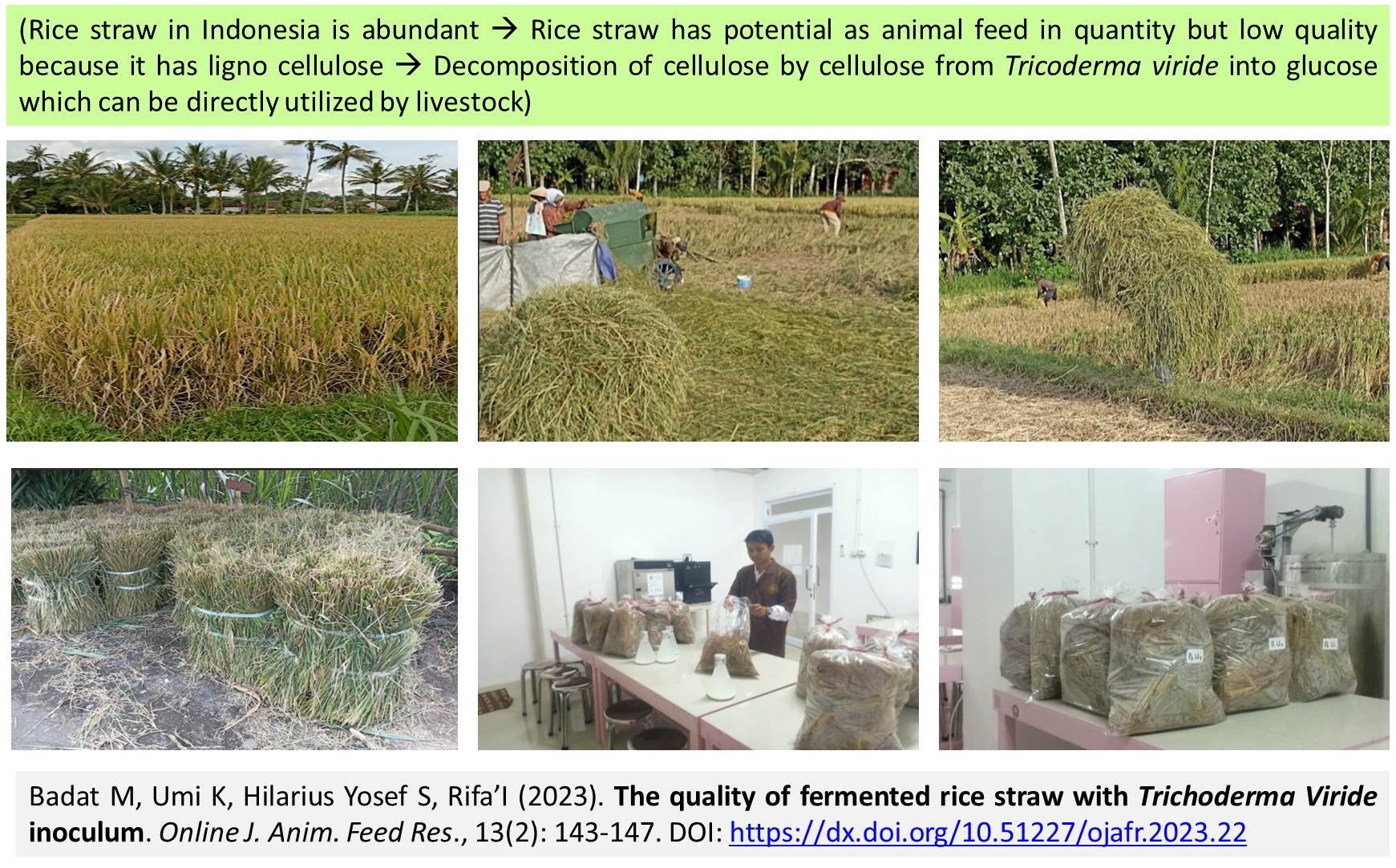 Volume 13 : Issue 2, March 2023