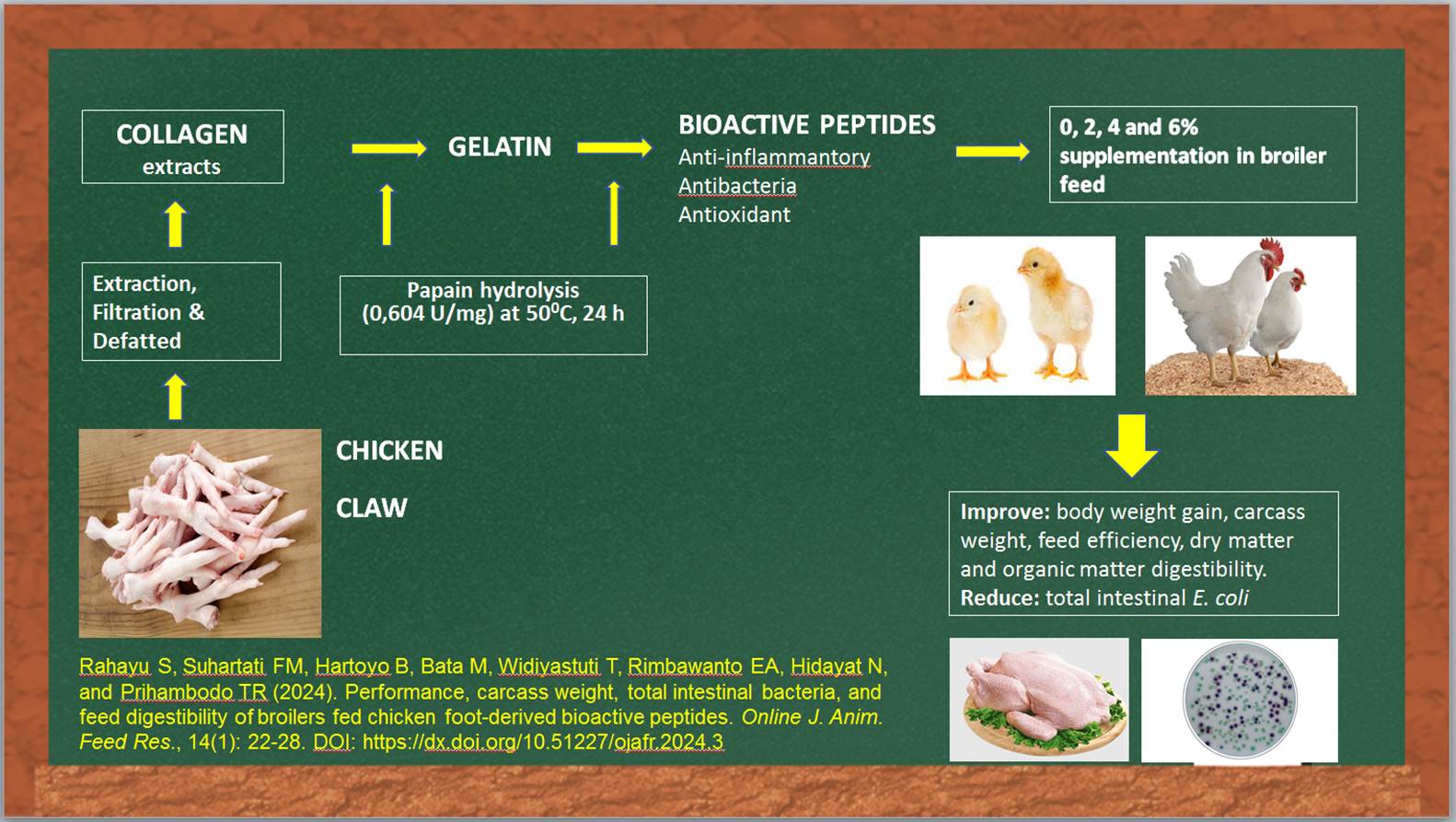 Volume 14 : Issue 1, January 2024