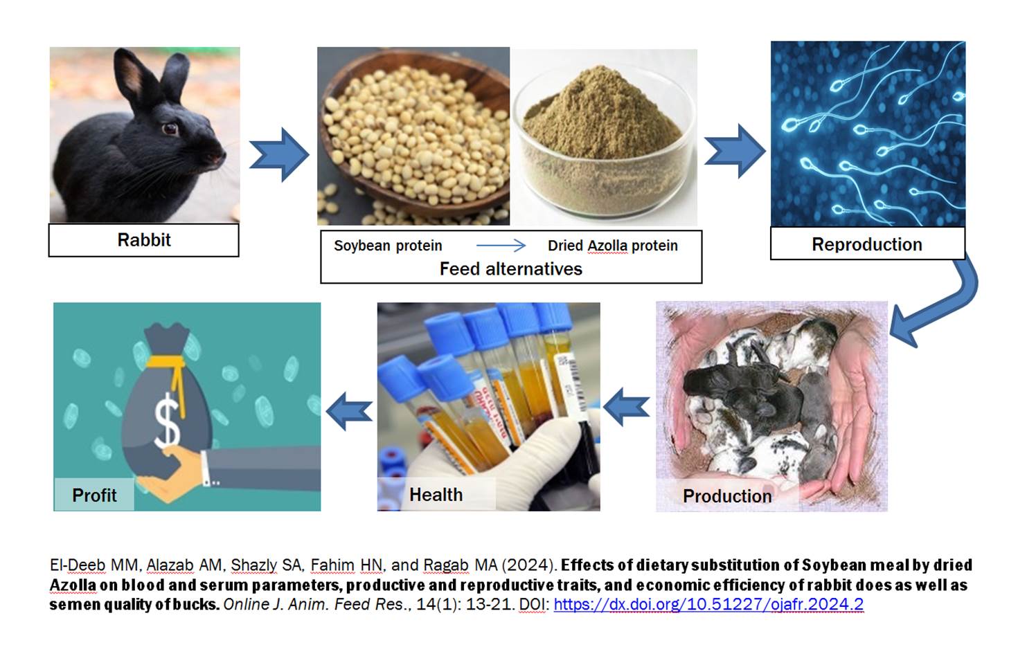 Welcome to O.J.A.F.R