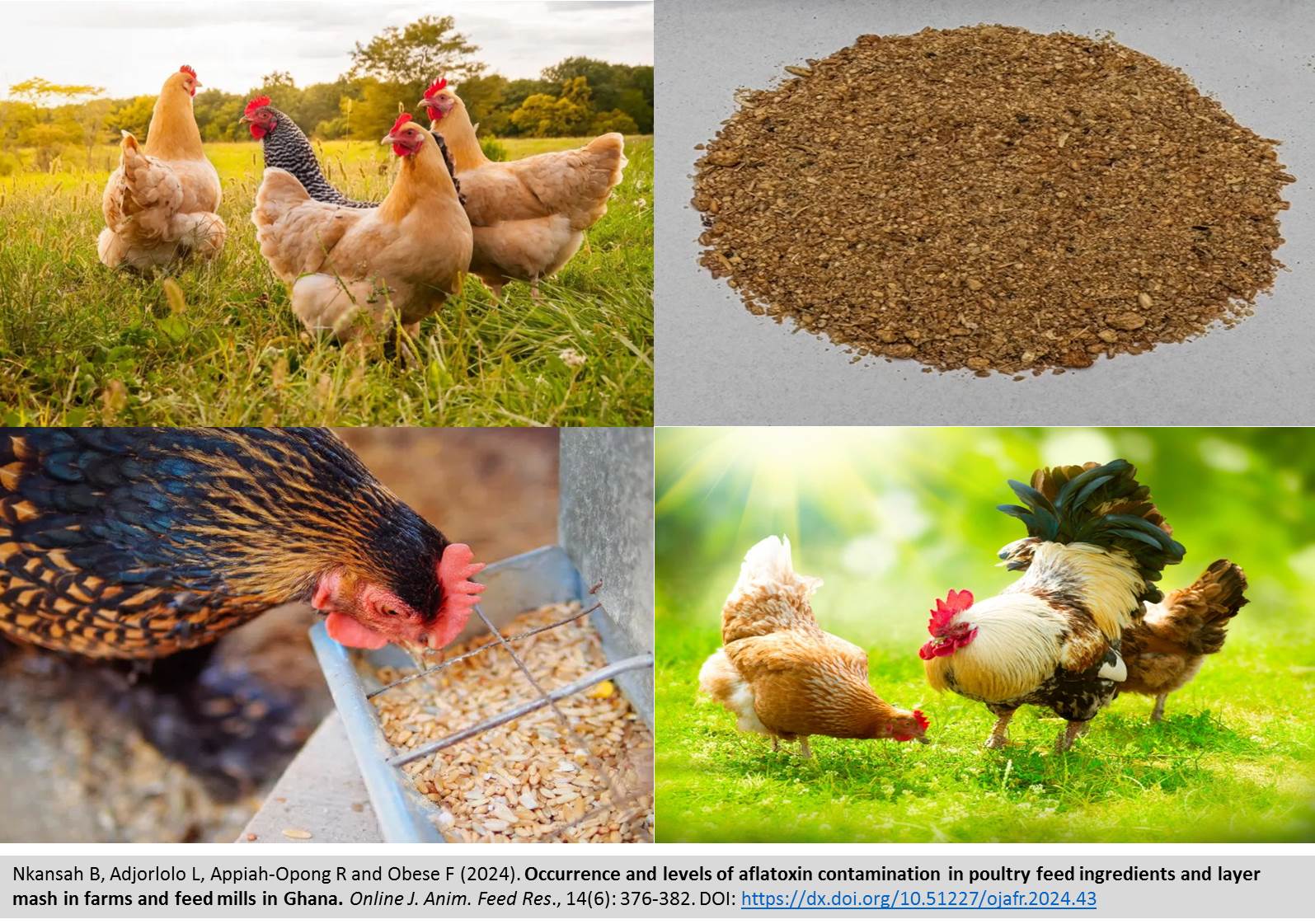 Welcome to O.J.A.F.R