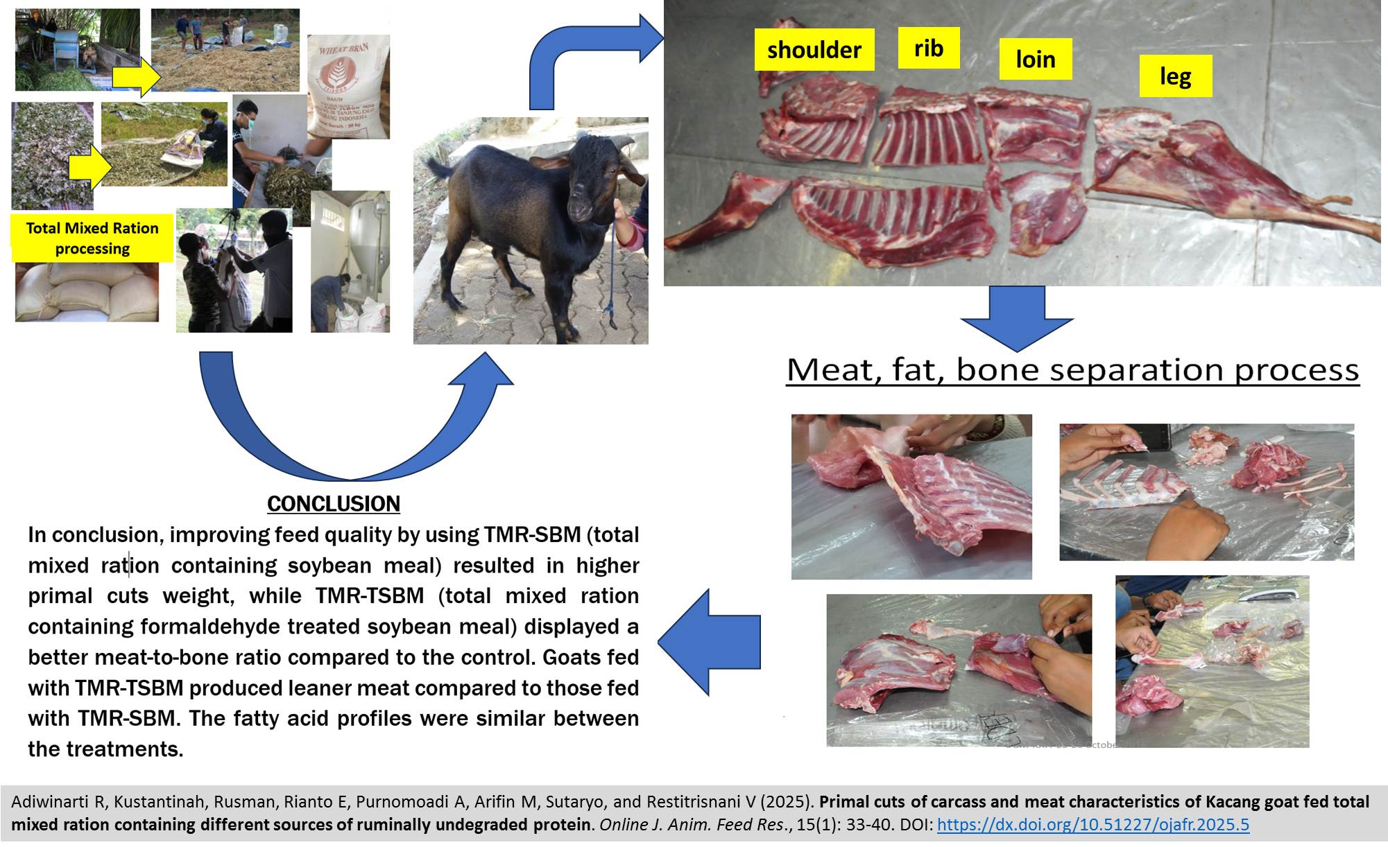 Welcome to O.J.A.F.R